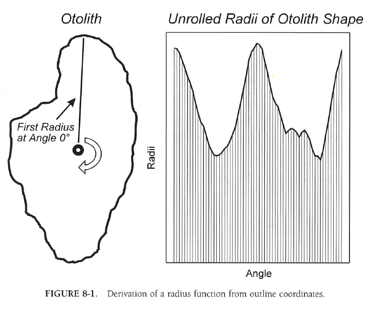 Ear bones in all shapes and sizes – The Fisheries Blog