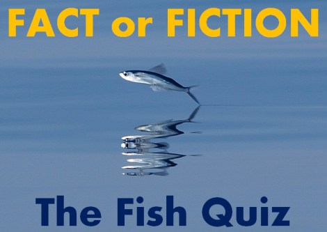 Fact or Fiction: The 10 Question Fish Quiz! – The Fisheries Blog