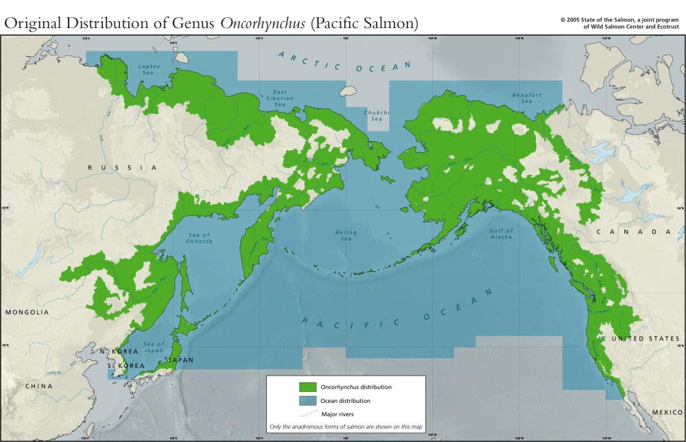 Salmon On the Fringe: Not all who wander are lost – The Fisheries Blog