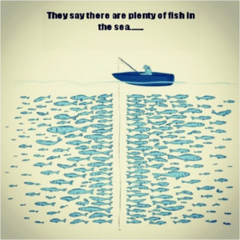 How many fish are in the sea? – The Fisheries Blog
