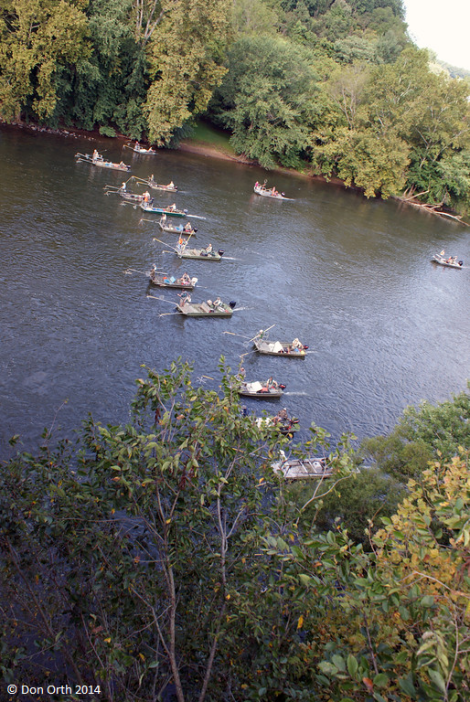 Depletion boat electrofishing – The Fisheries Blog