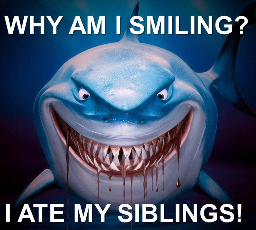 Did animators know that two of three “Finding Nemo” sharks cannibalized ...