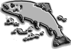 Where does the mercury in our fish come from? – The Fisheries Blog