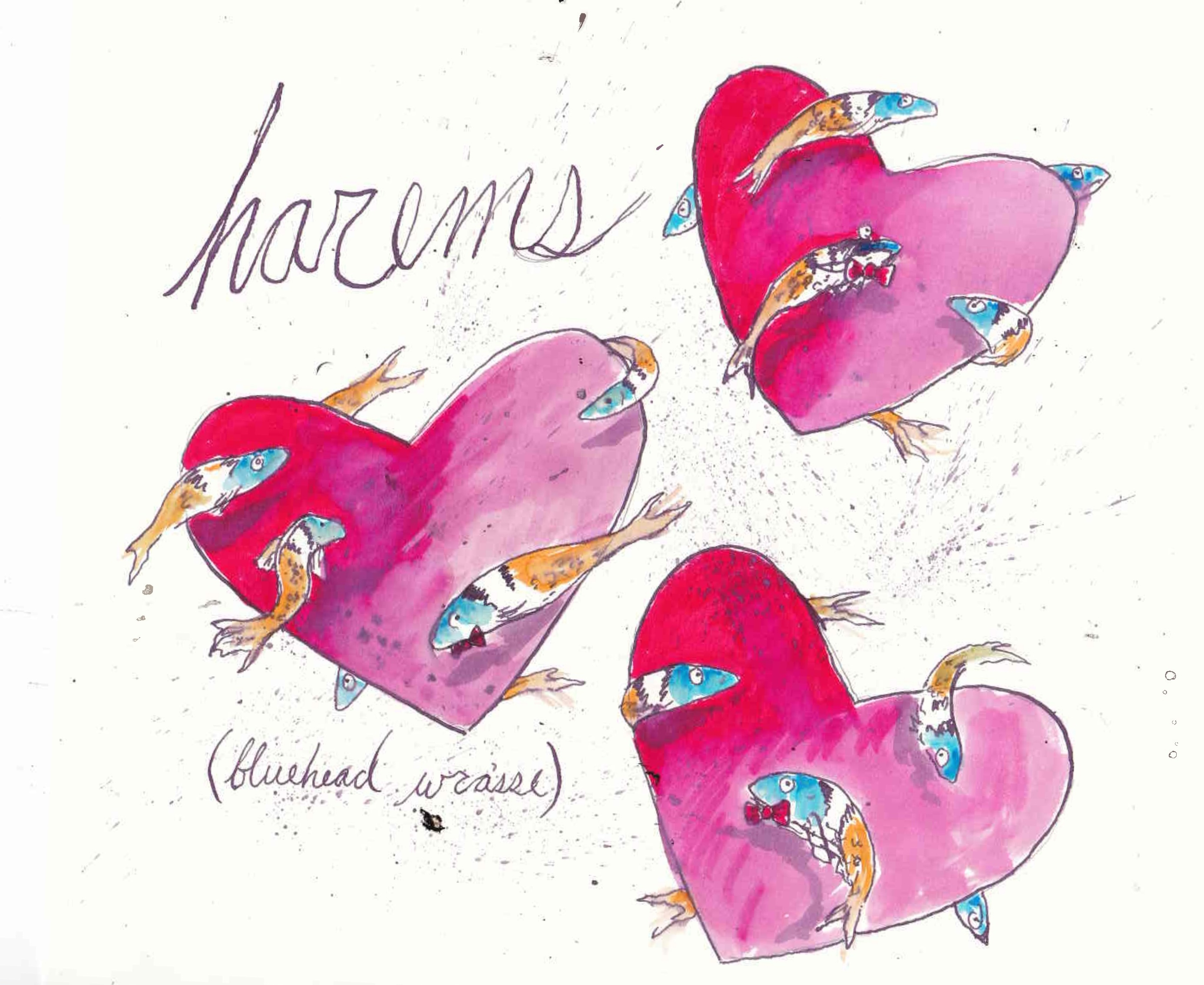 My Fishy Valentine – The Fisheries Blog