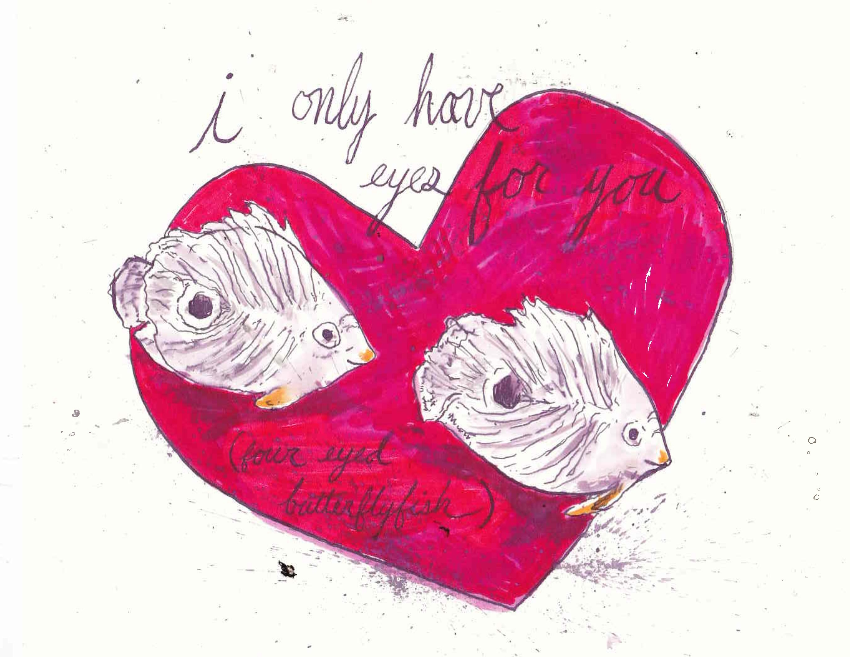 My Fishy Valentine – The Fisheries Blog