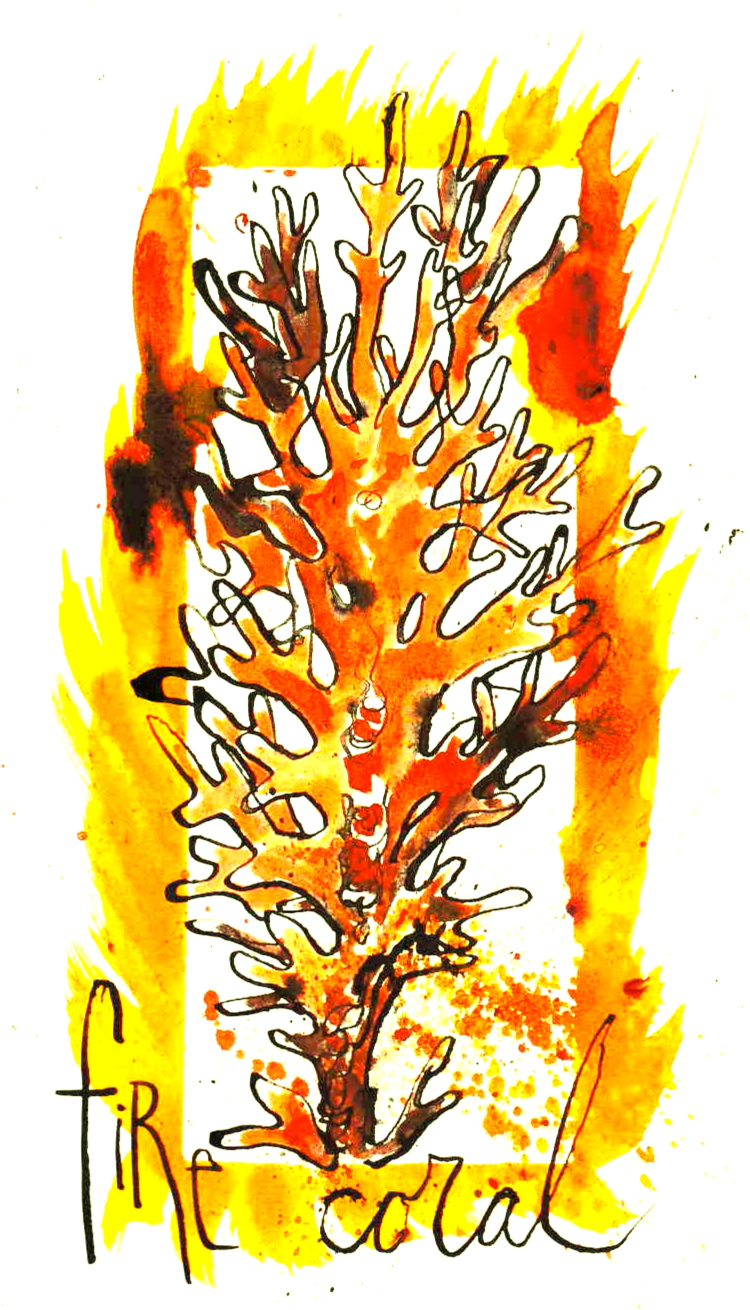 Who needs a backbone when you have toxins: our top 5 most venomous ...