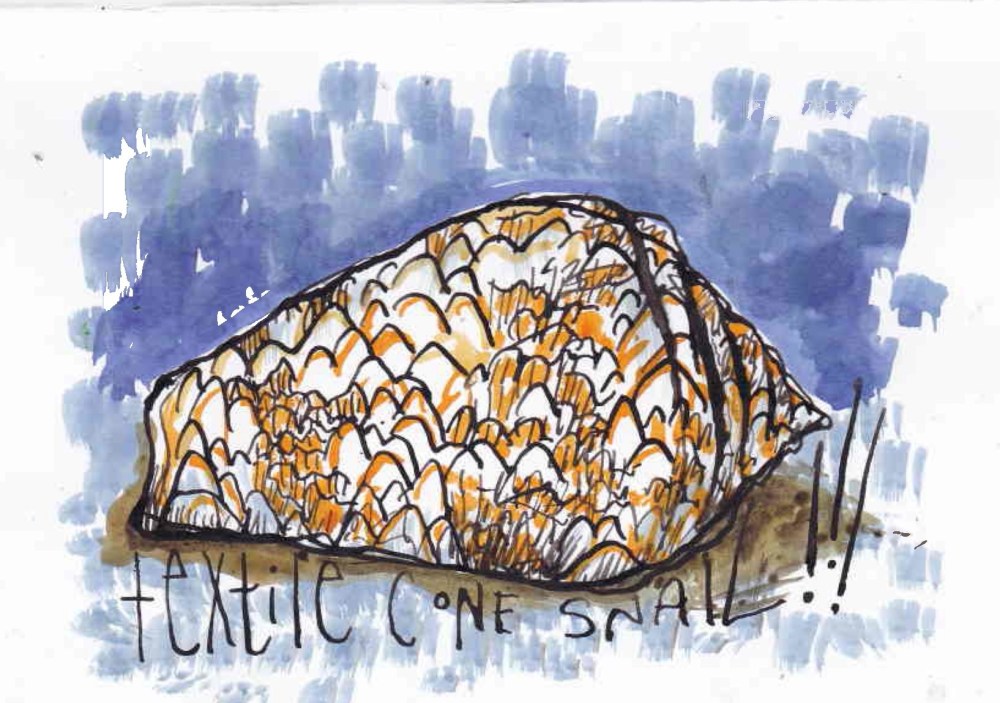 Who needs a backbone when you have toxins: our top 5 most venomous ...