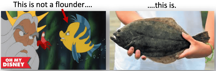 Nemo isn’t the only transgender fish in the sea – The Fisheries Blog