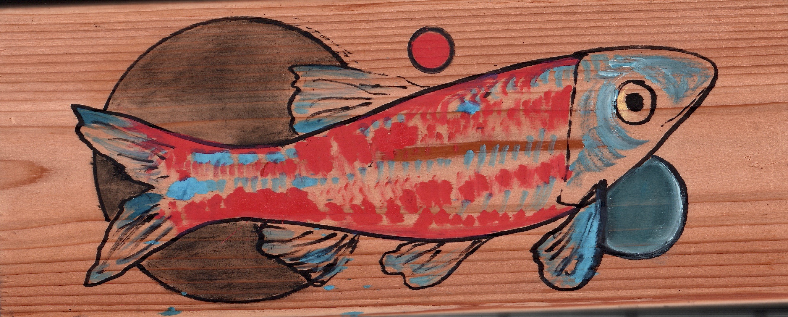 Breeding colors of freshwater fishes – The Fisheries Blog