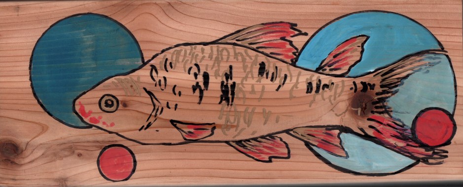 Breeding colors of freshwater fishes – The Fisheries Blog