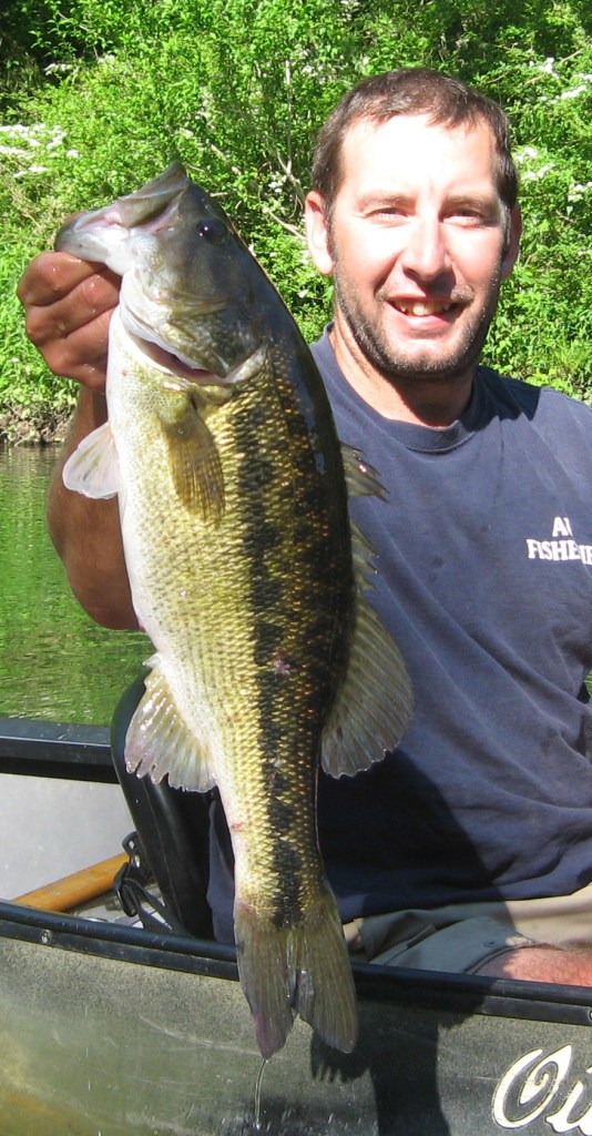 Black Bass: How many species are there? – The Fisheries Blog