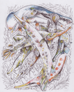 The 7 Wonderful Gar of the World – The Fisheries Blog