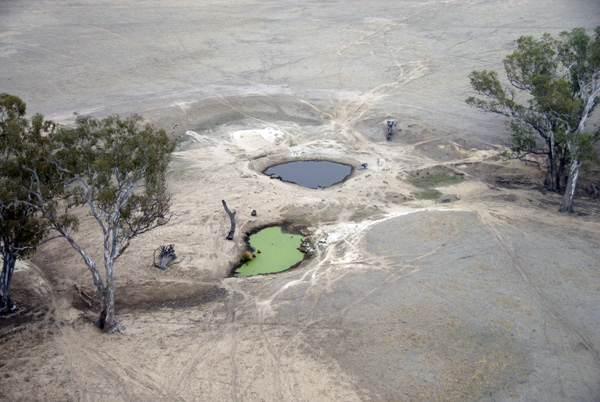 Drought and pollution – The Fisheries Blog