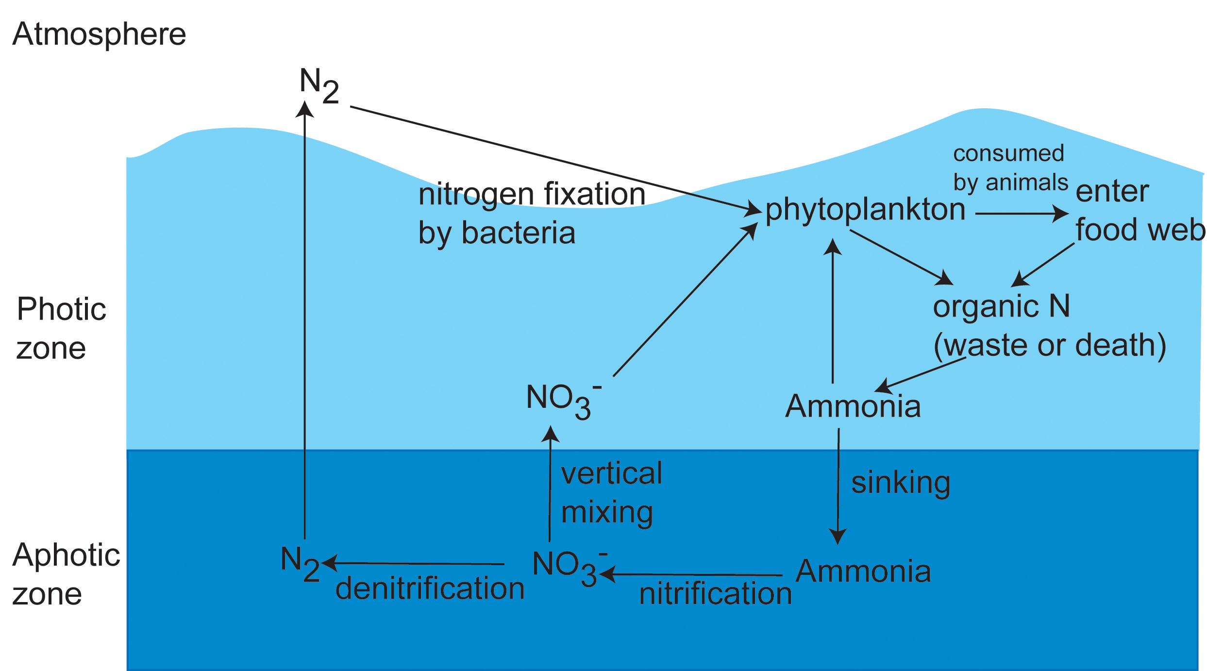 Repeat Spawner Series: How climate impacts microorganisms and why we ...