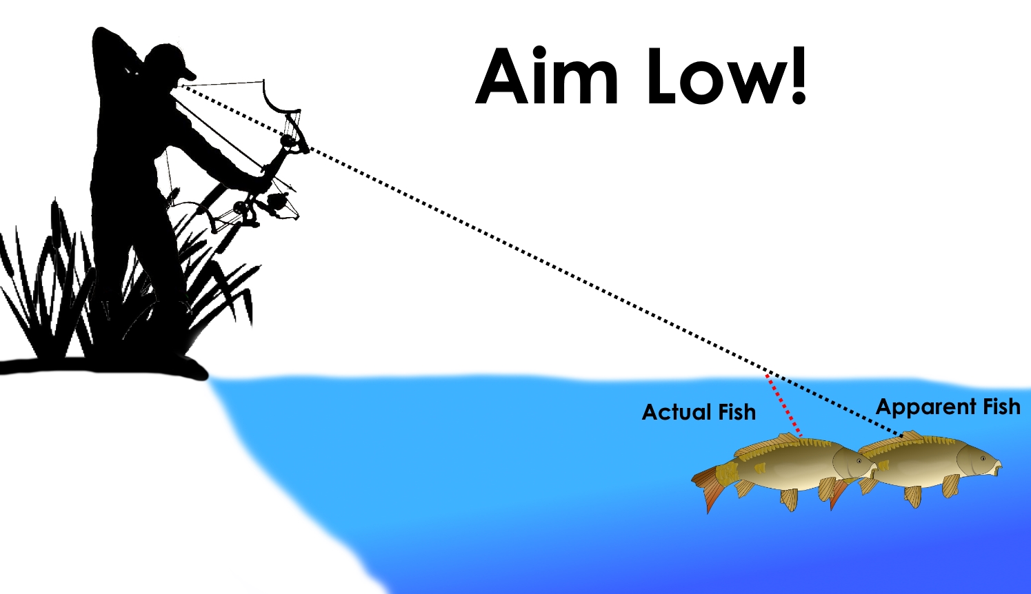 What is Bowfishing? – The Fisheries Blog