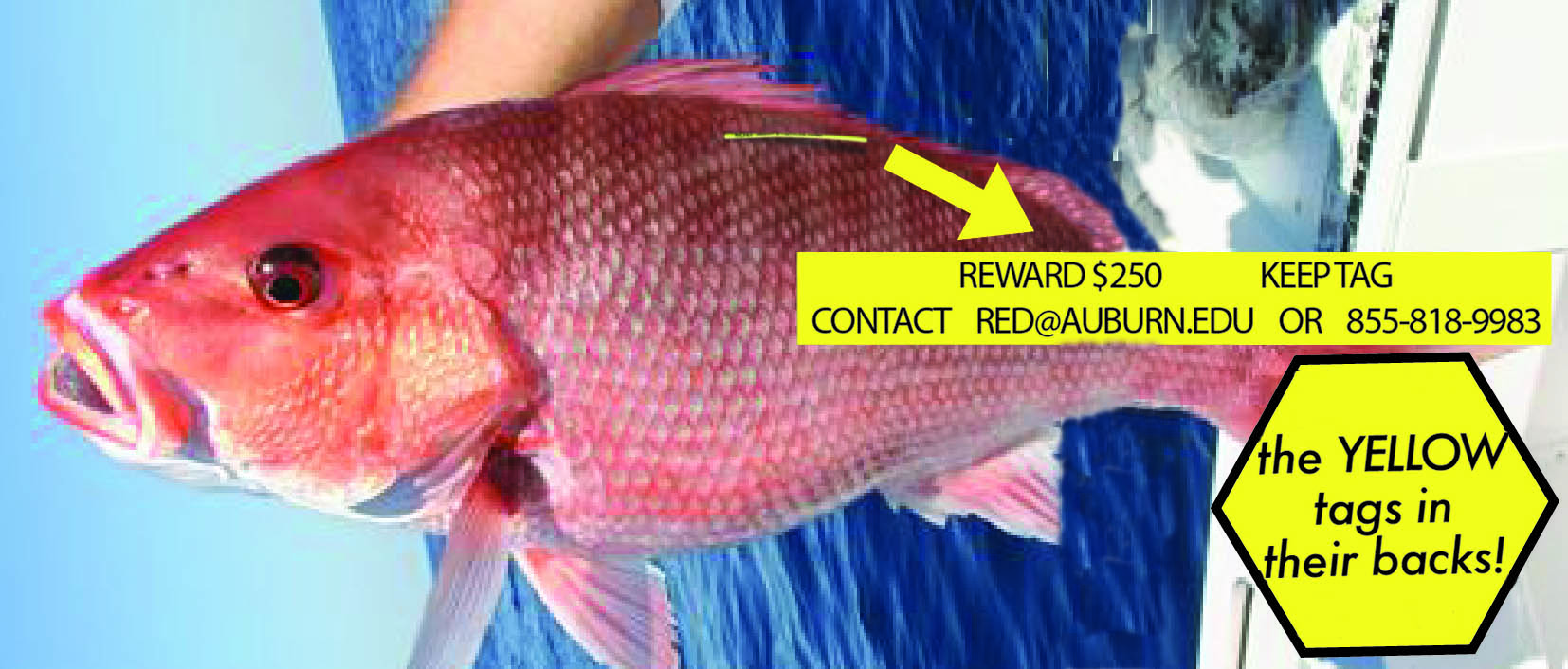 Dollars and Data: The Science of Rewarding Fishers to Report Their ...