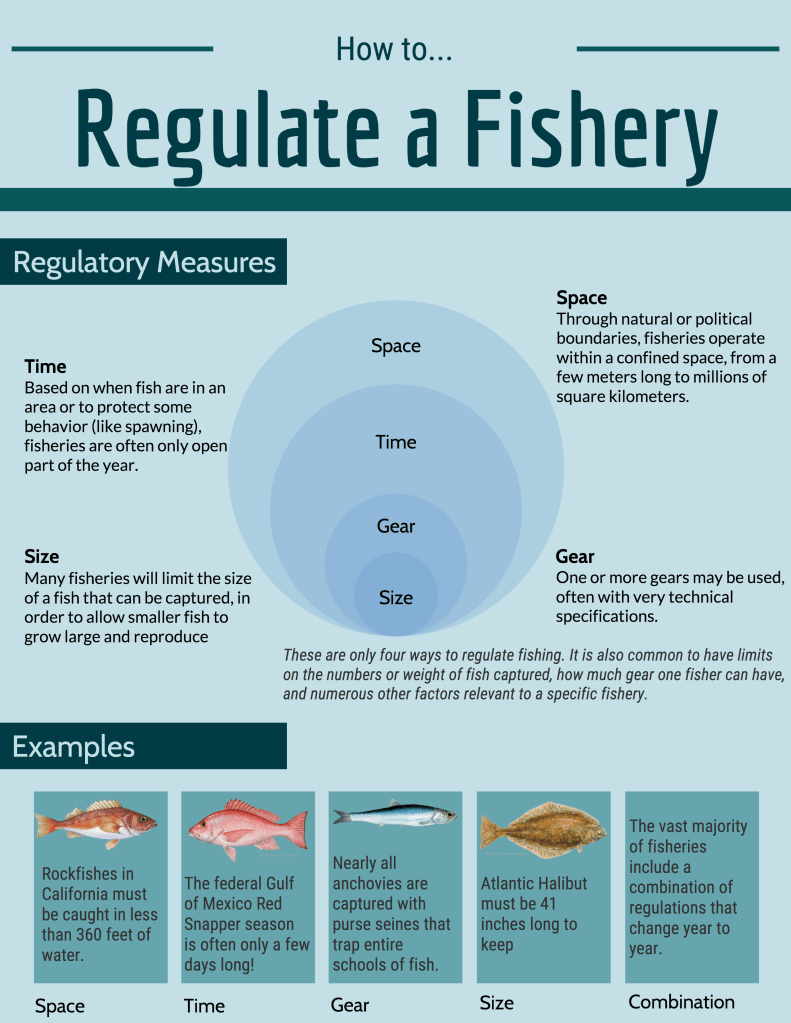 Fishery Regulations – The Fisheries Blog