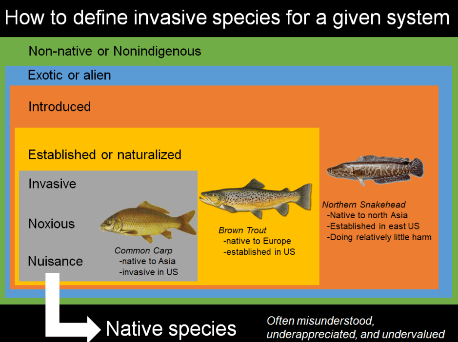 Coming to ‘terms’ with species invasions – The Fisheries Blog