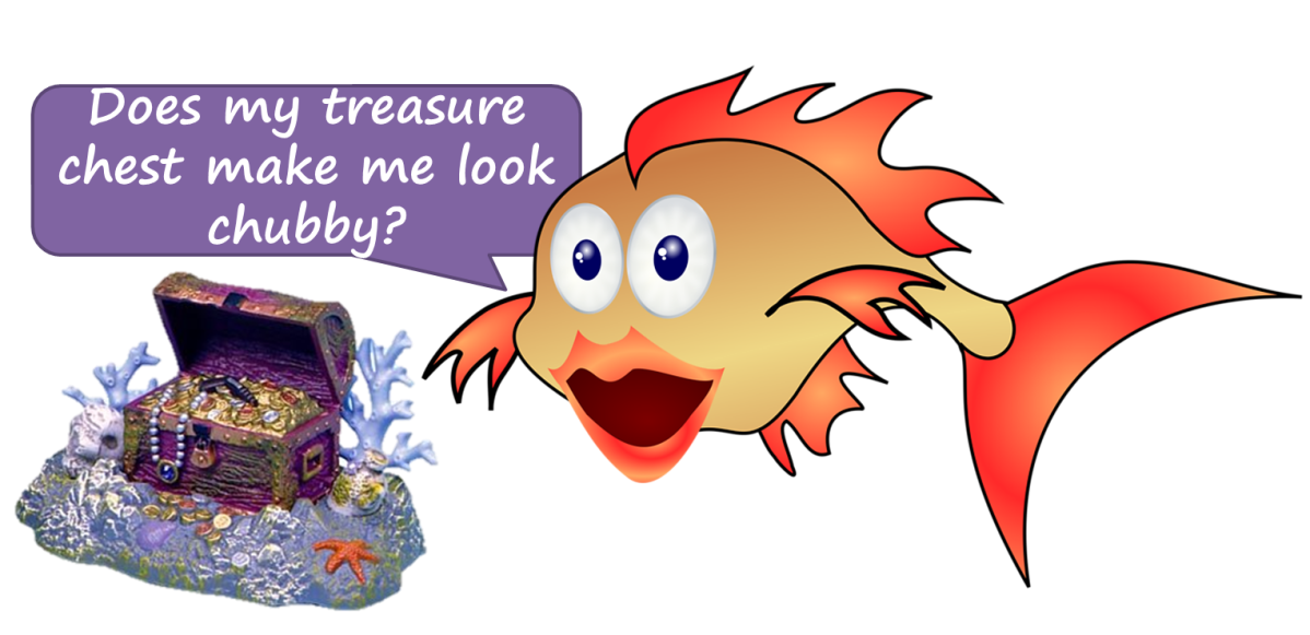 Can fish get fat? – The Fisheries Blog