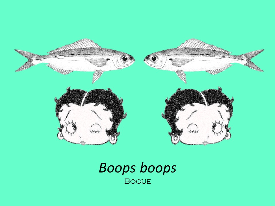 The fish so nice, we named ’em twice – The Fisheries Blog