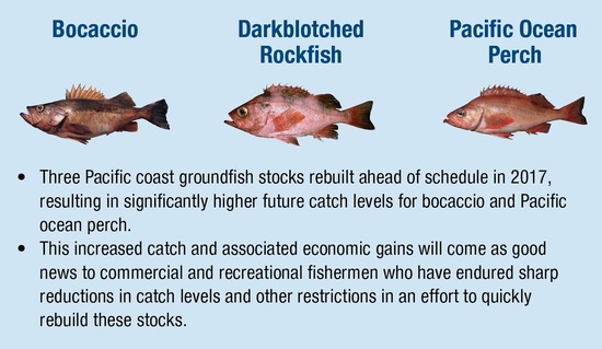 NOAA’s Status of Stocks – The Fisheries Blog