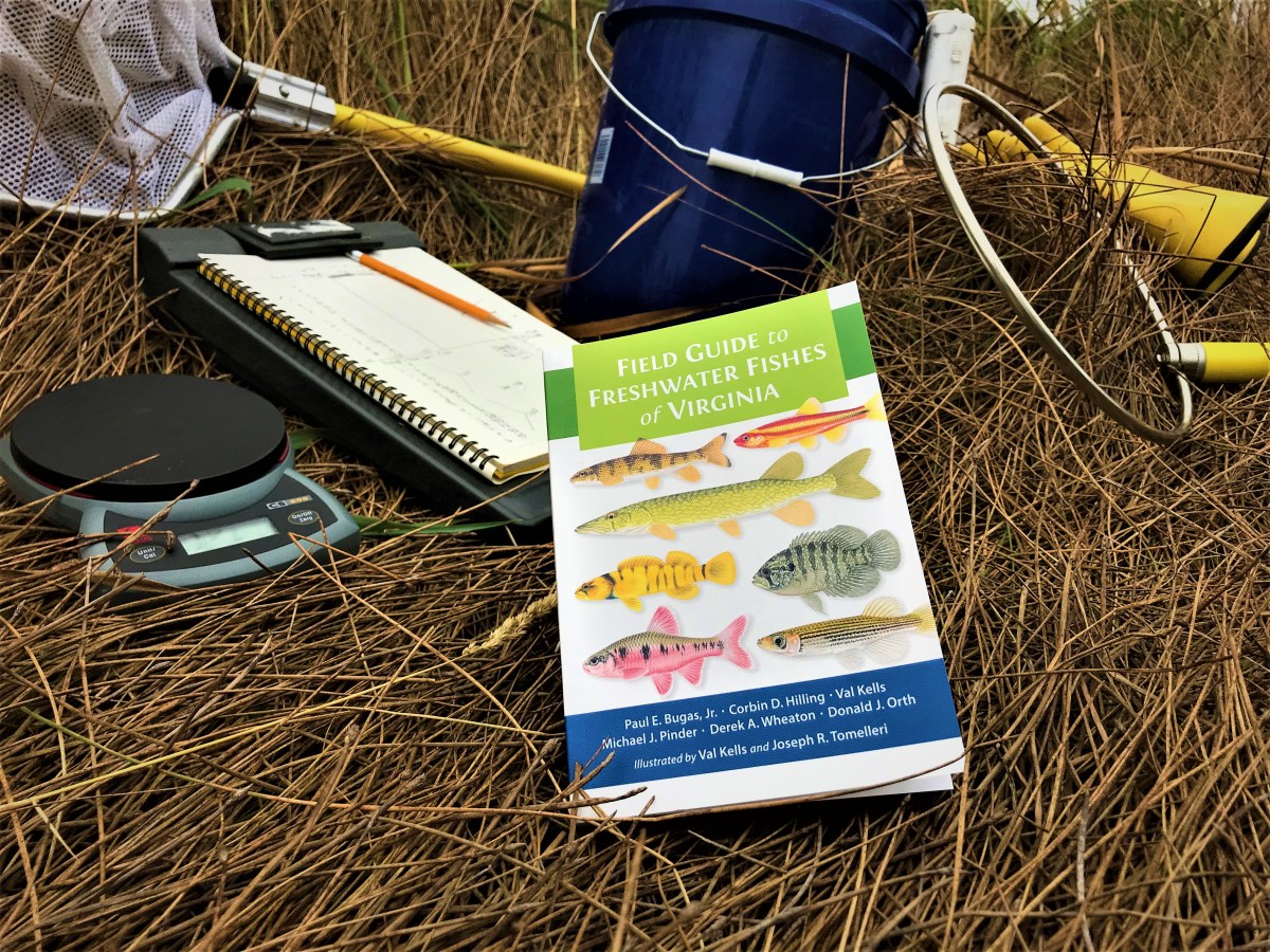 10 Lessons Learned From Writing a Book About Fish – The Fisheries Blog