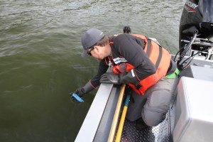 Electrofishing: simplified explanation of voltage, current, power, and ...