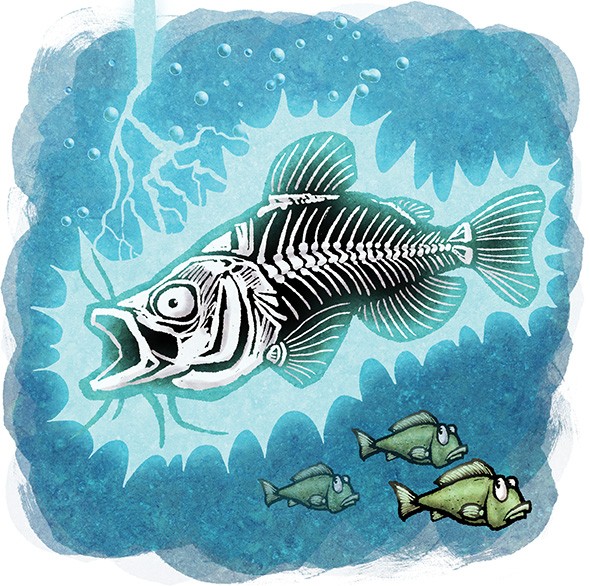 Electrofishing: simplified explanation of voltage, current, power, and ...