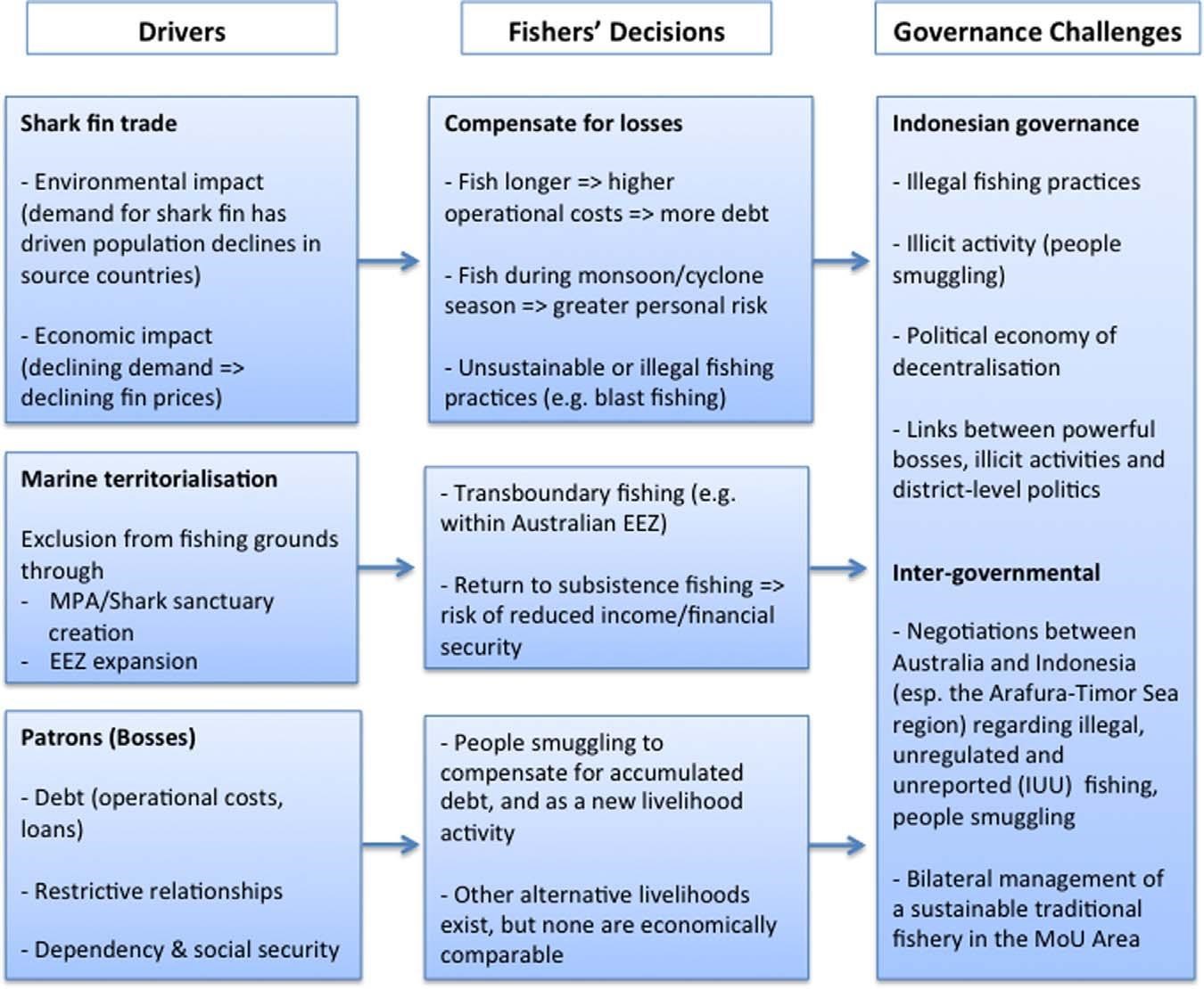 The Human Side of the Shark Fin Trade – The Fisheries Blog
