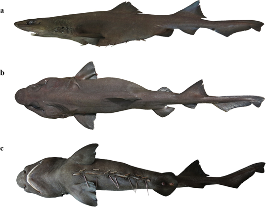 Welcome to the known world! – The Fisheries Blog