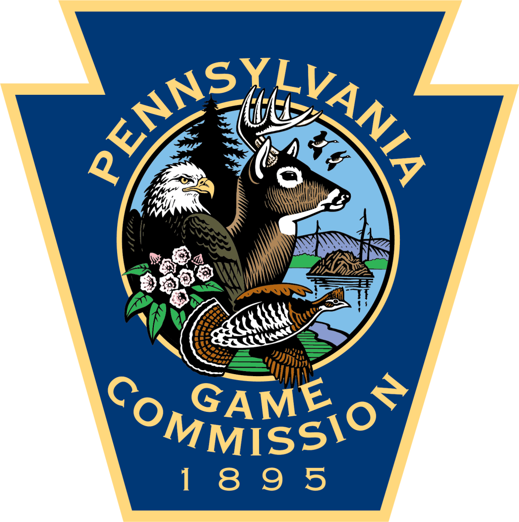 Quiz: The fish, mammals, and birds found on the logos of 50 State ...