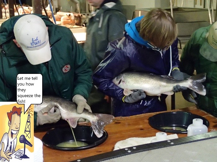 Broadcast Spawning: Creating a new generation of anglers across the ...