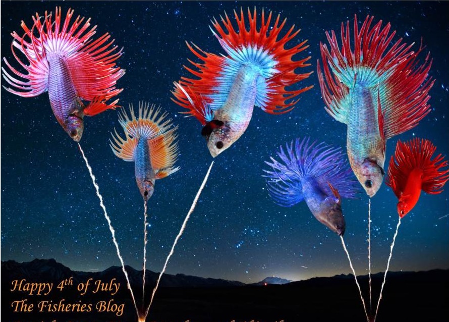 Repeat spawner series: Fun Fish Festivals – The Fisheries Blog