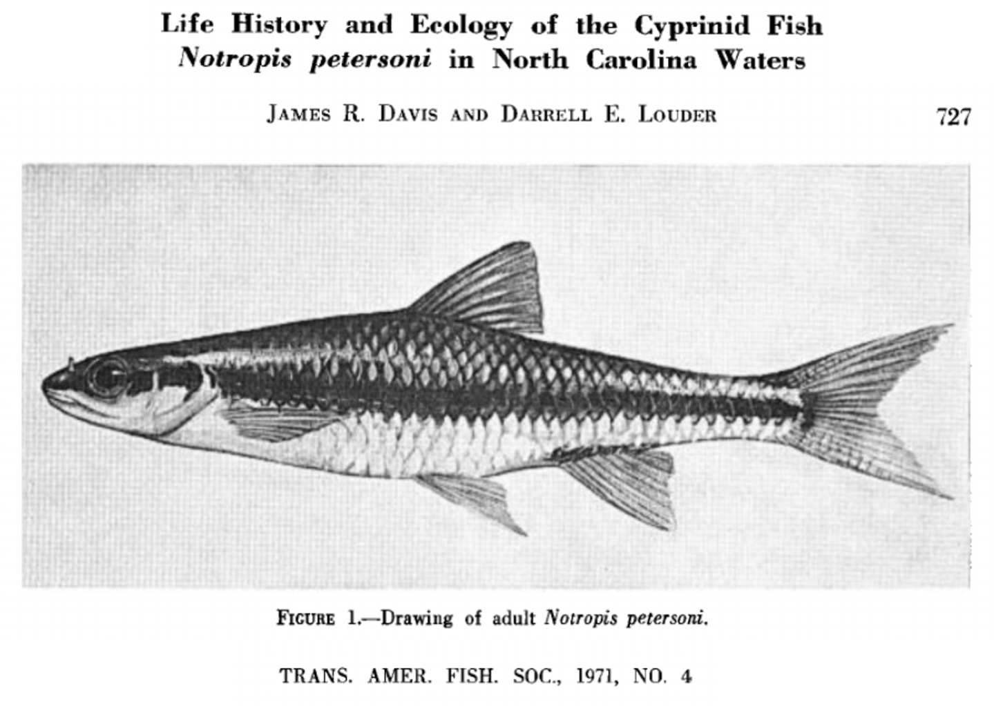 One Last Cast: Duane Raver’s 93 years of art and fish science – The ...