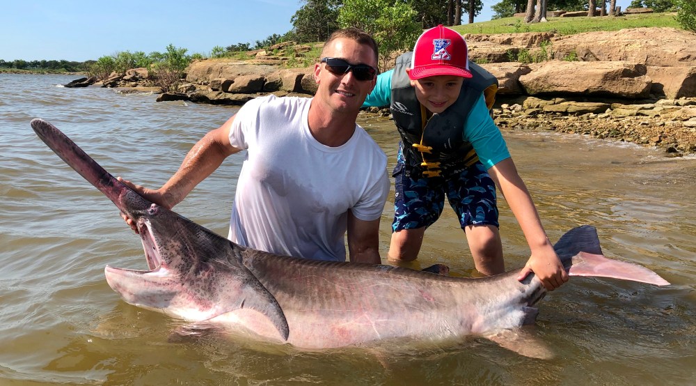 World Record Paddlefish: Conspiracies, Genetics, and Advances in ...