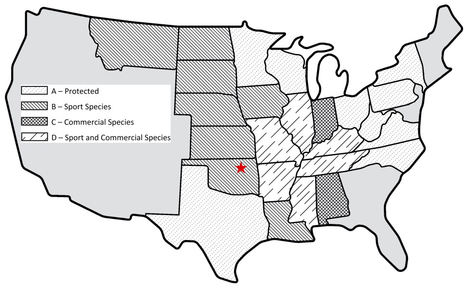 World Record Paddlefish: Conspiracies, Genetics, and Advances in ...
