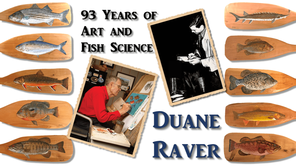 One Last Cast: Duane Raver’s 93 years of art and fish science – The ...