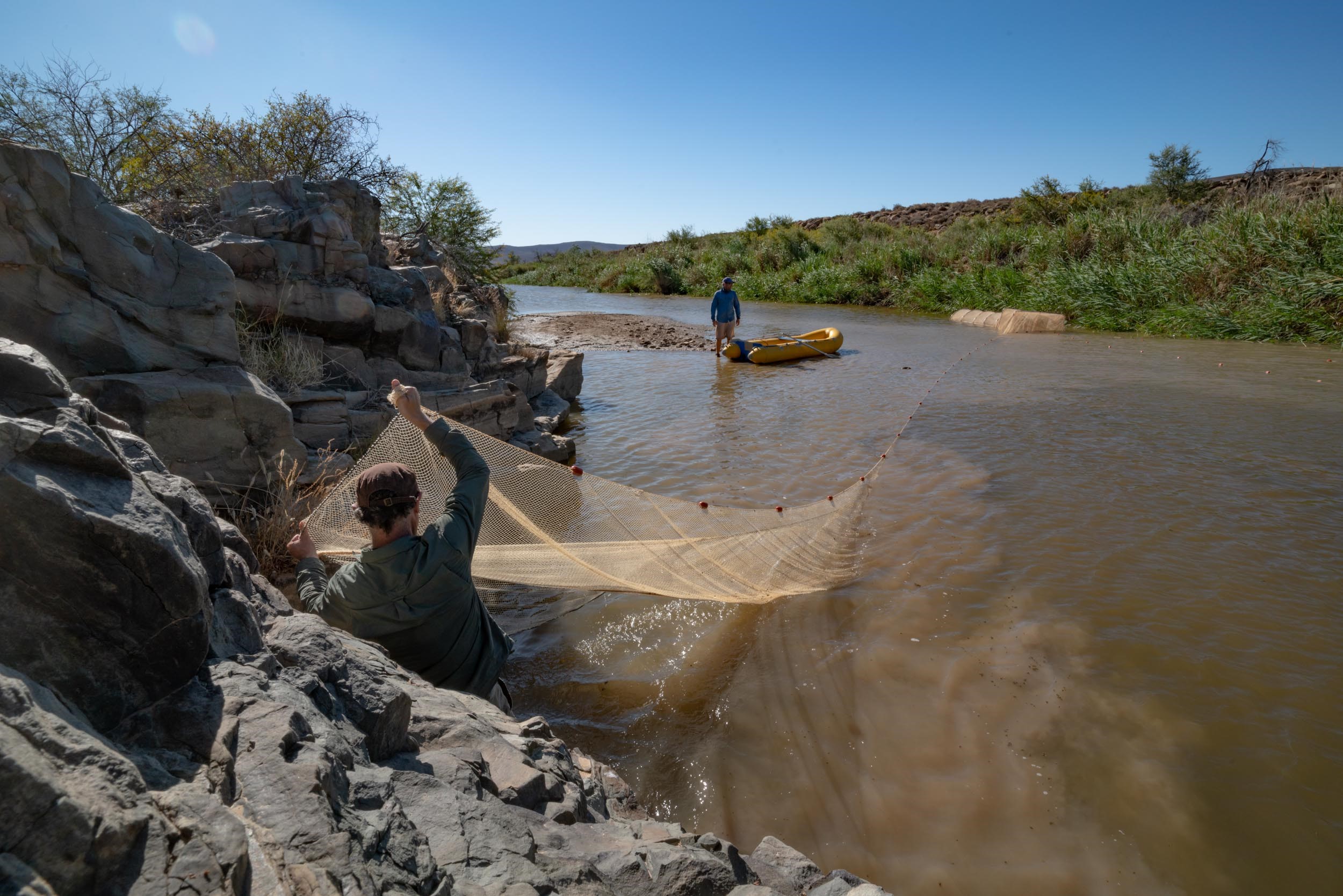 Conserving one of the world’s most threatened migratory fish – The ...