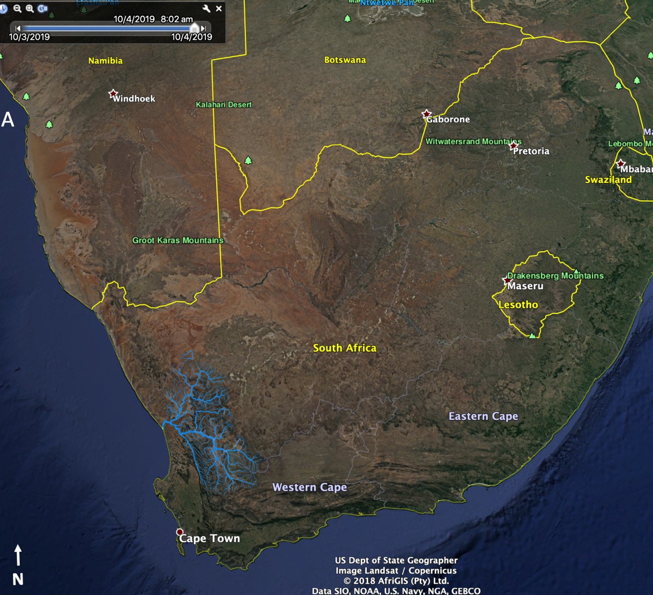 Conserving one of the world’s most threatened migratory fish – The ...