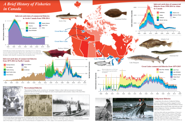 Watch: How are Indigenous People shaping the past, present, and future ...