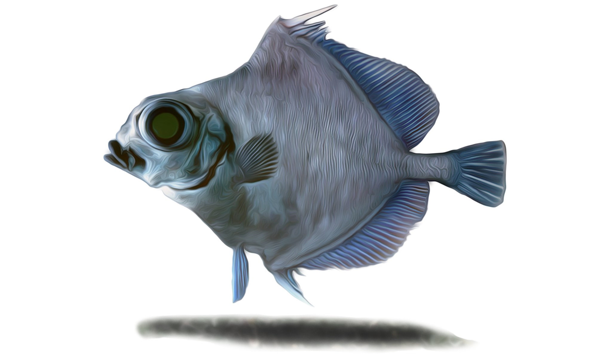 Spooky Fishes you Eat from the Deep Sea – Halloween Special – The ...