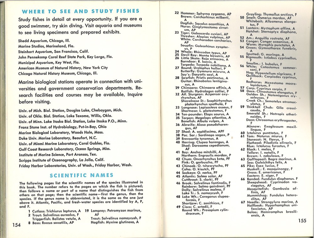 35 year mystery solved: the search to find the object that inspired my ...