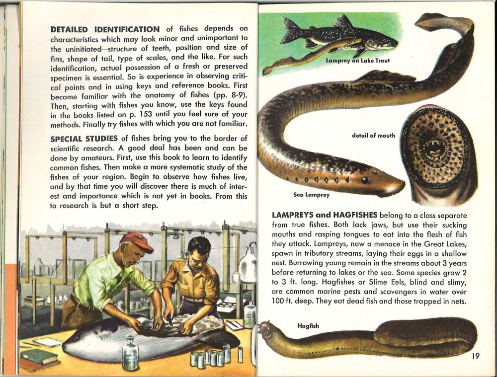 35 year mystery solved: the search to find the object that inspired my ...