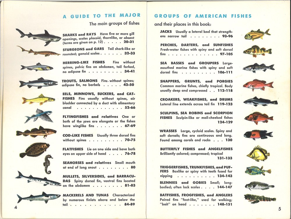 35 year mystery solved: the search to find the object that inspired my ...