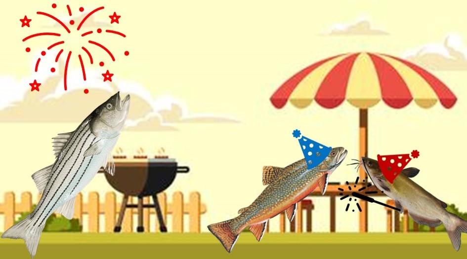 United States of Fish – The Fisheries Blog