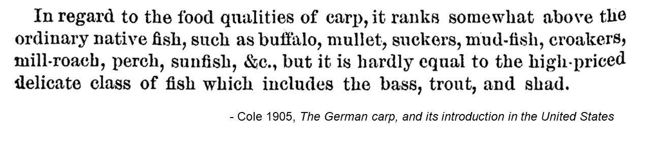 From “Asian Carp” to “Copi”: When Fish Get a Rebrand – The Fisheries Blog