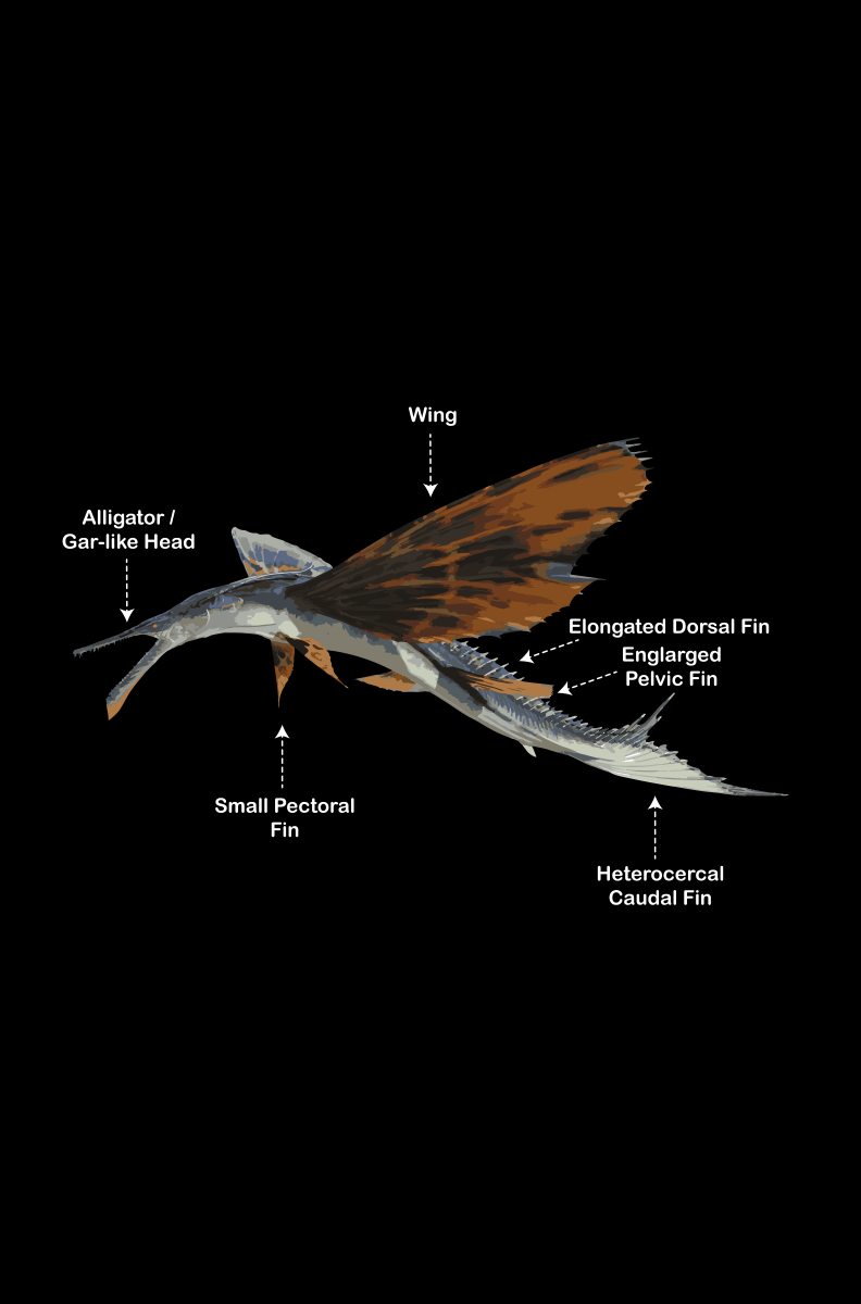 Avatar: The Way of Water – Breaking down the “Skimwing” – The Fisheries ...