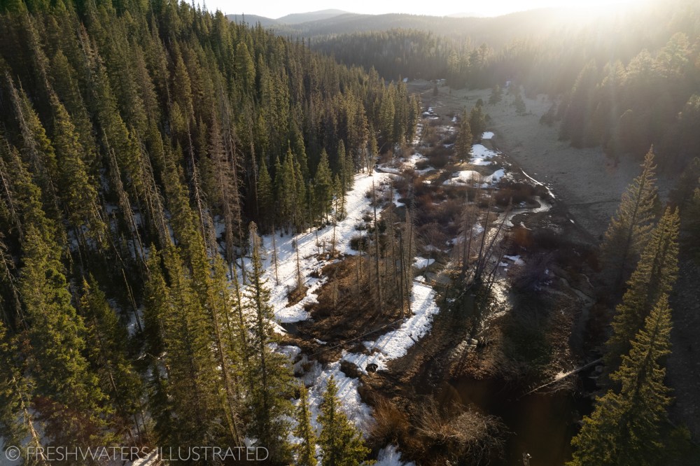 Casting to a Fly Rod to Apache Trout is a Testament to Perseverance ...
