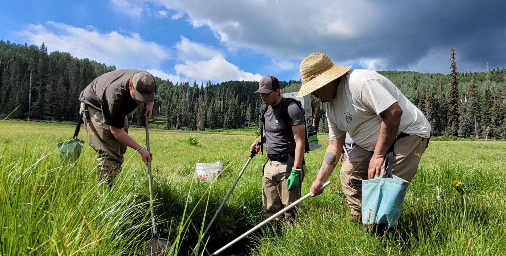Casting to a Fly Rod to Apache Trout is a Testament to Perseverance ...